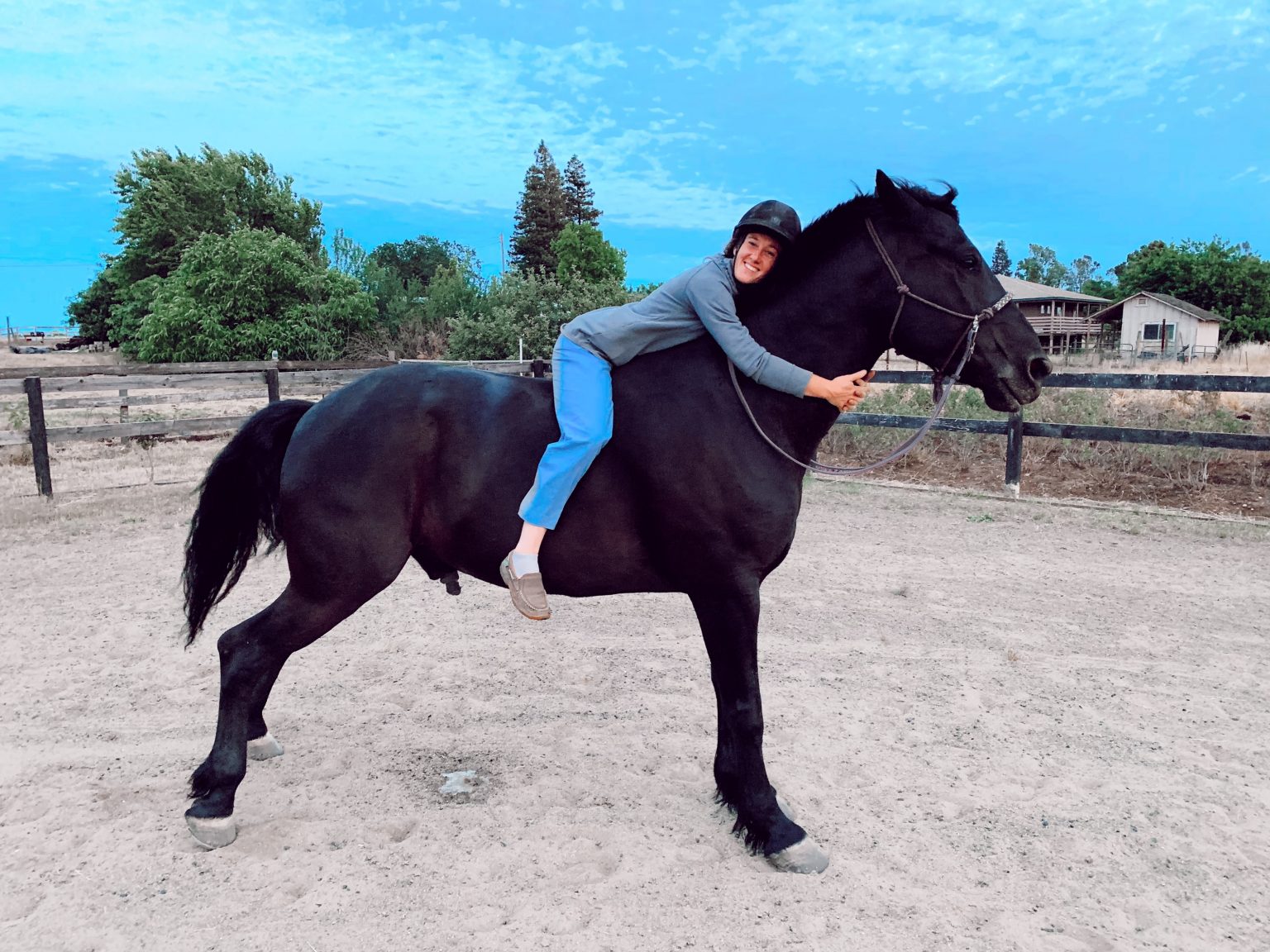 Telemedicine - SUNDANCE Veterinary